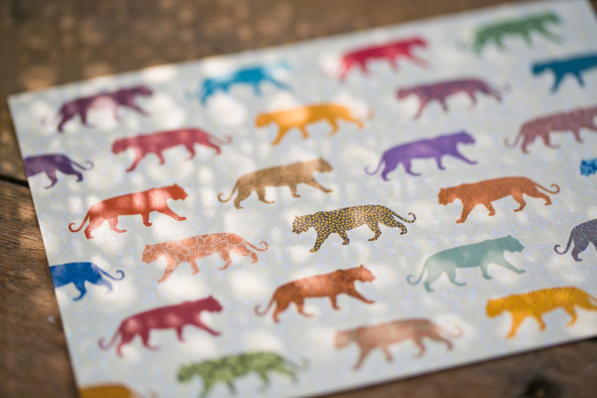 Jamtara Gallery – Jamtara Wilderness Camp