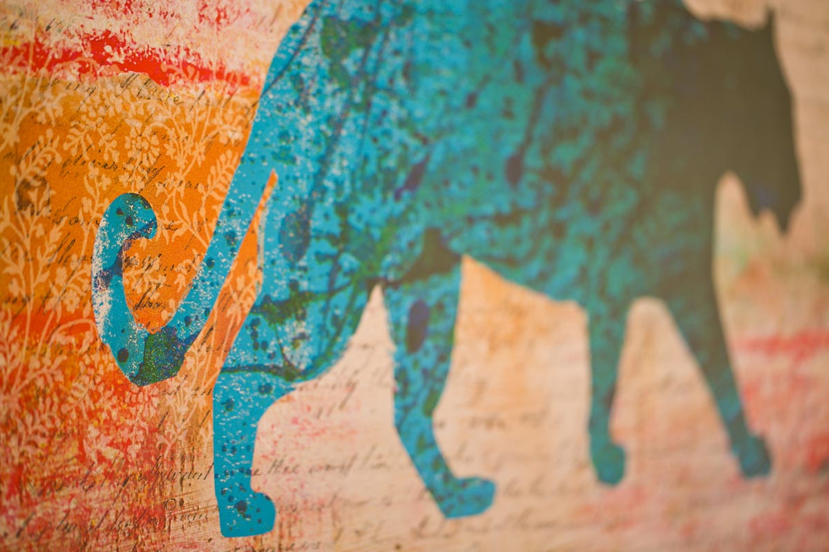 Jamtara Gallery – Jamtara Wilderness Camp